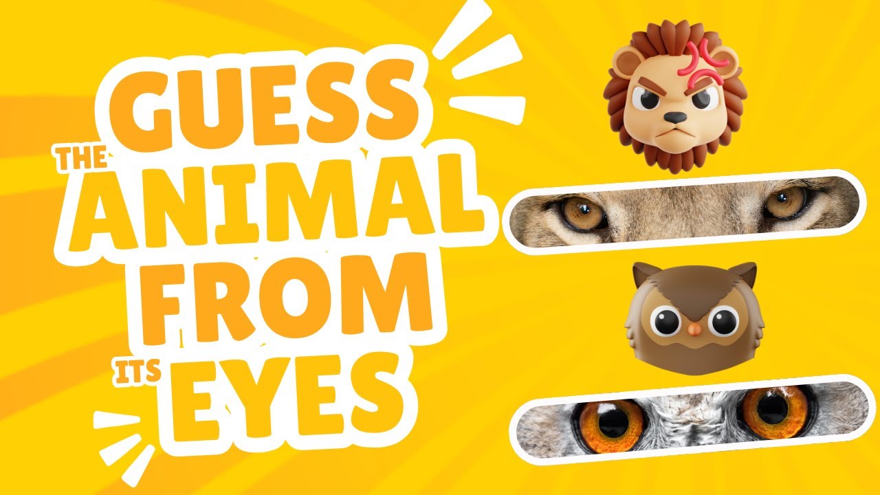 Guess the Animal from Its Eyes! | Wild Animal Edition 🦁🐘🦒 - YouTube