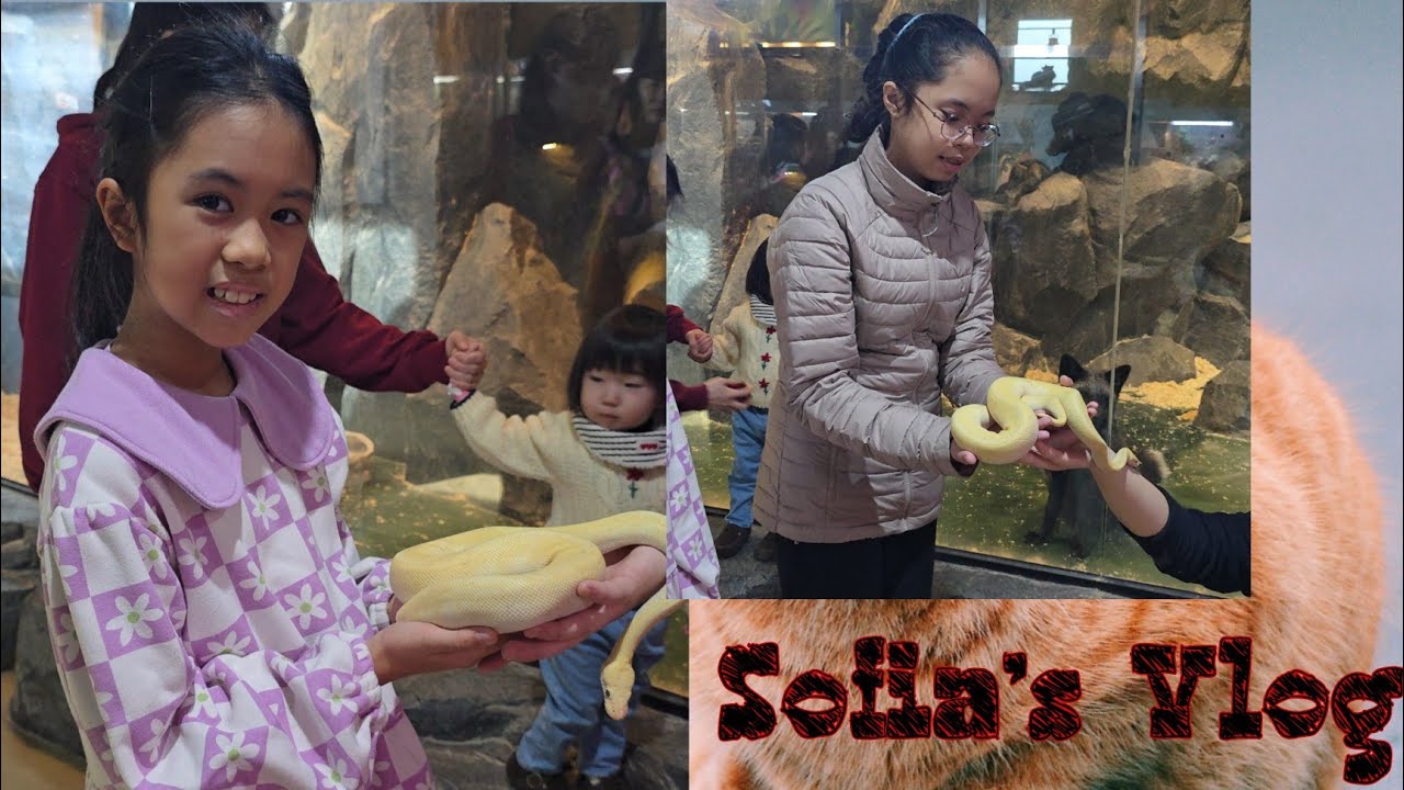 Sofia's Vlog in Korean @ Animal cafe - YouTube