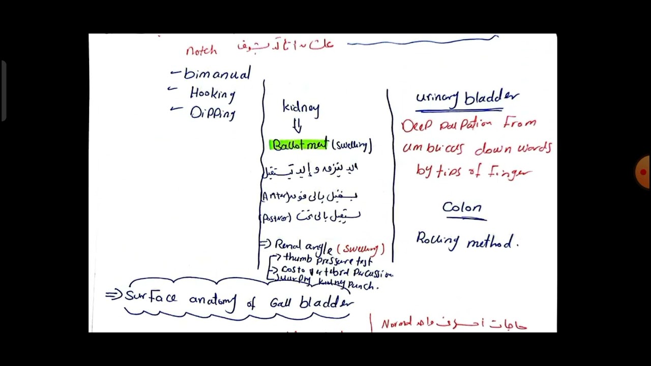 Local examination of abdomen🤍 - YouTube