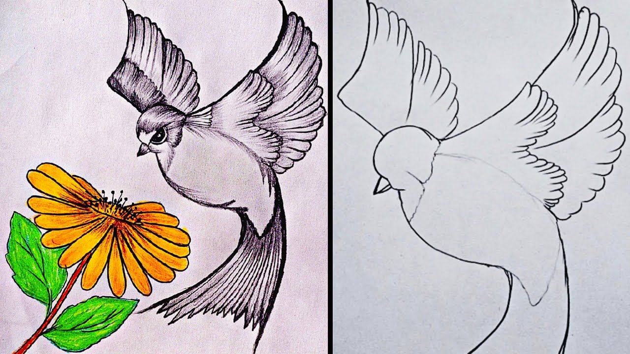 How To Draw A Flying Bird (Dove) Easy Drawing Step By Step | Peace Dove ...