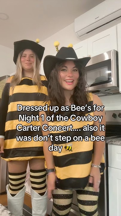 Cowboy Carter Outfits - Dressed as Bees 🐝 #cowboycarter #cowboycartertour #beyonce #beeoutfit ...