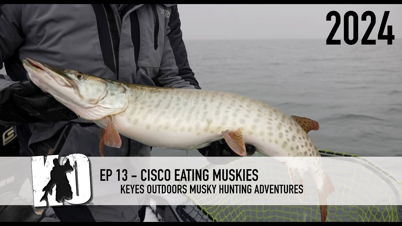 Cisco Eating Muskies - Keyes Outdoors Musky Hunting Adventures - YouTube