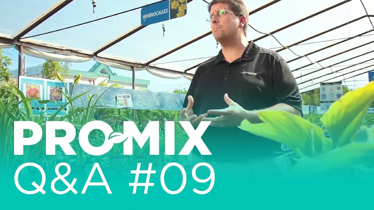 Why are there sticks in peat moss? - YouTube