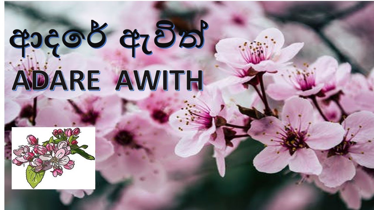 Nithish ( නිතිශ් ) | Adare Awith (ආදරේ ඇවිත් ) | Sinhala Kathandara ...