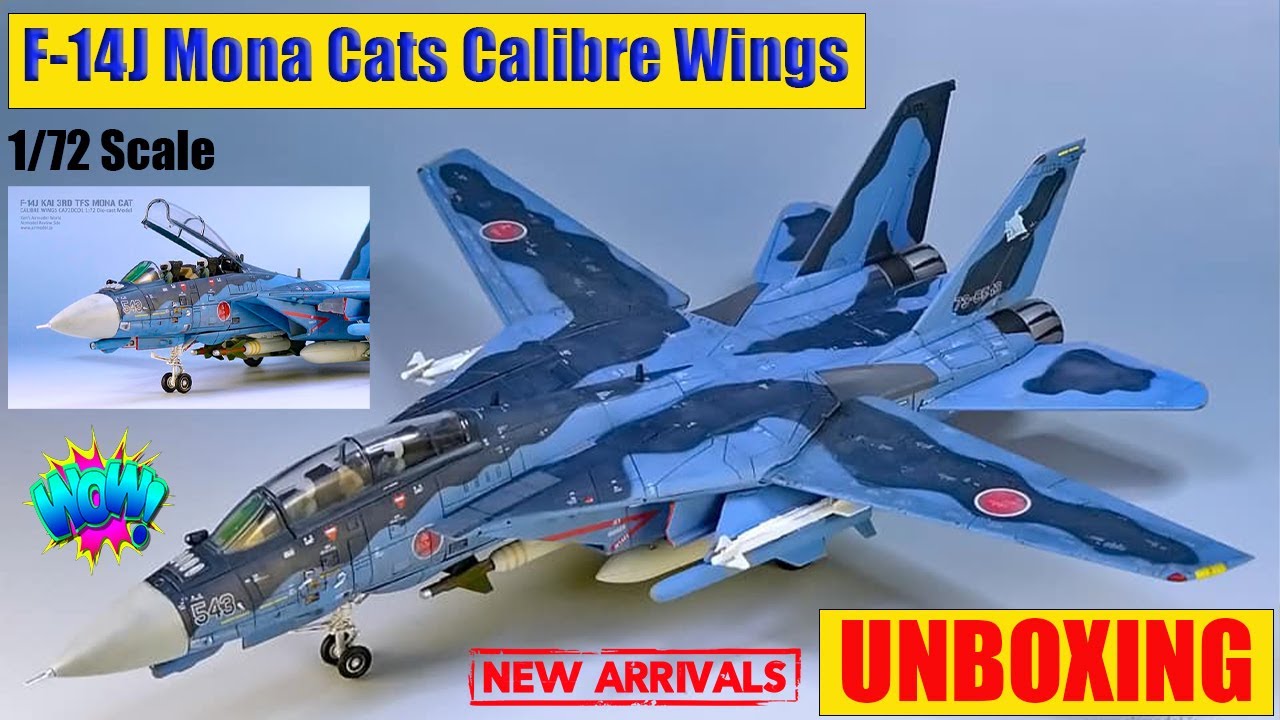 1/72 diecast F-14J Mona cats Calibre wings 🔥 - YouTube