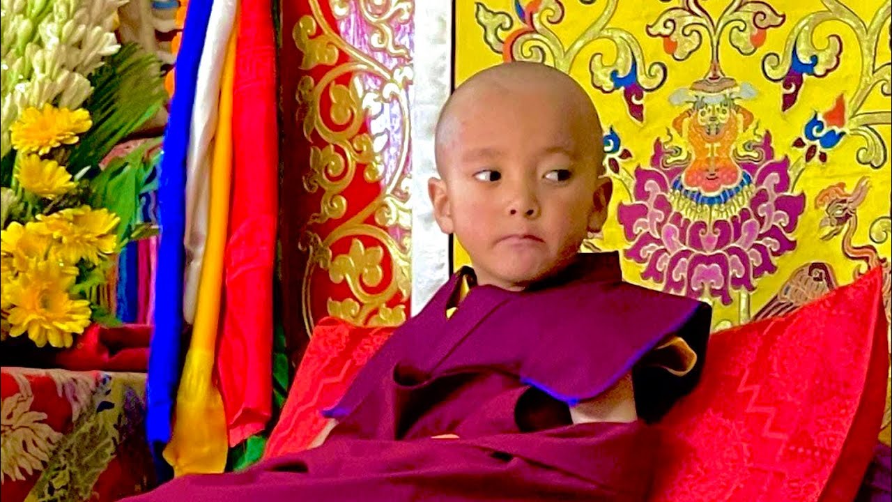 Reincarnation of H H Taklung Tsetrul Rinpoche 2022 || Official ...