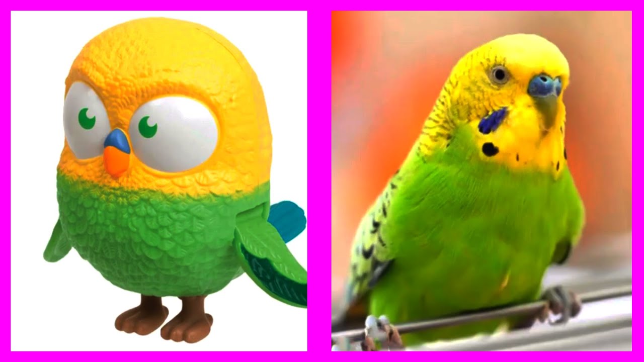 The Secret Life of Pets 2 In Real Life - YouTube