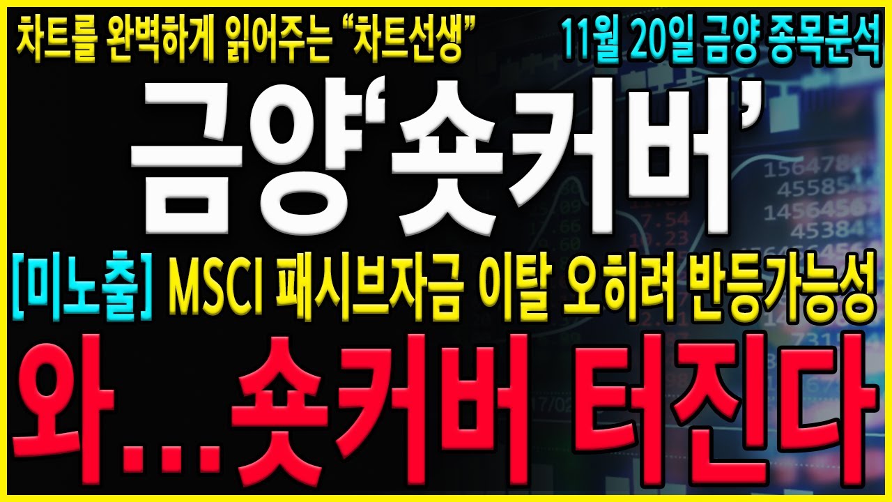 금양 주가 전망 긴급 와25일 Msci 편출인데 숏커버가 나올 수 있는 이유 반드시 반등구간을 기다렸다가