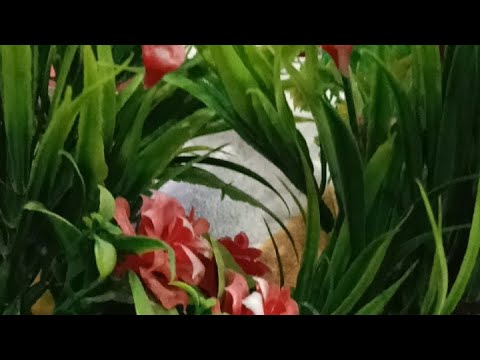 Mamta multi creations. is live! - YouTube