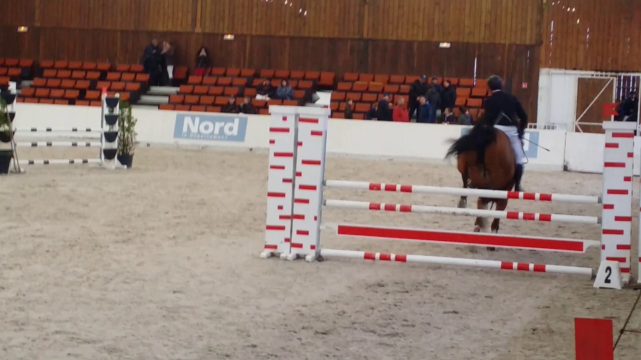 Ella-chin VH lindenhof/ Elie Terrier -GP105 Strazeele -février 2017 ...