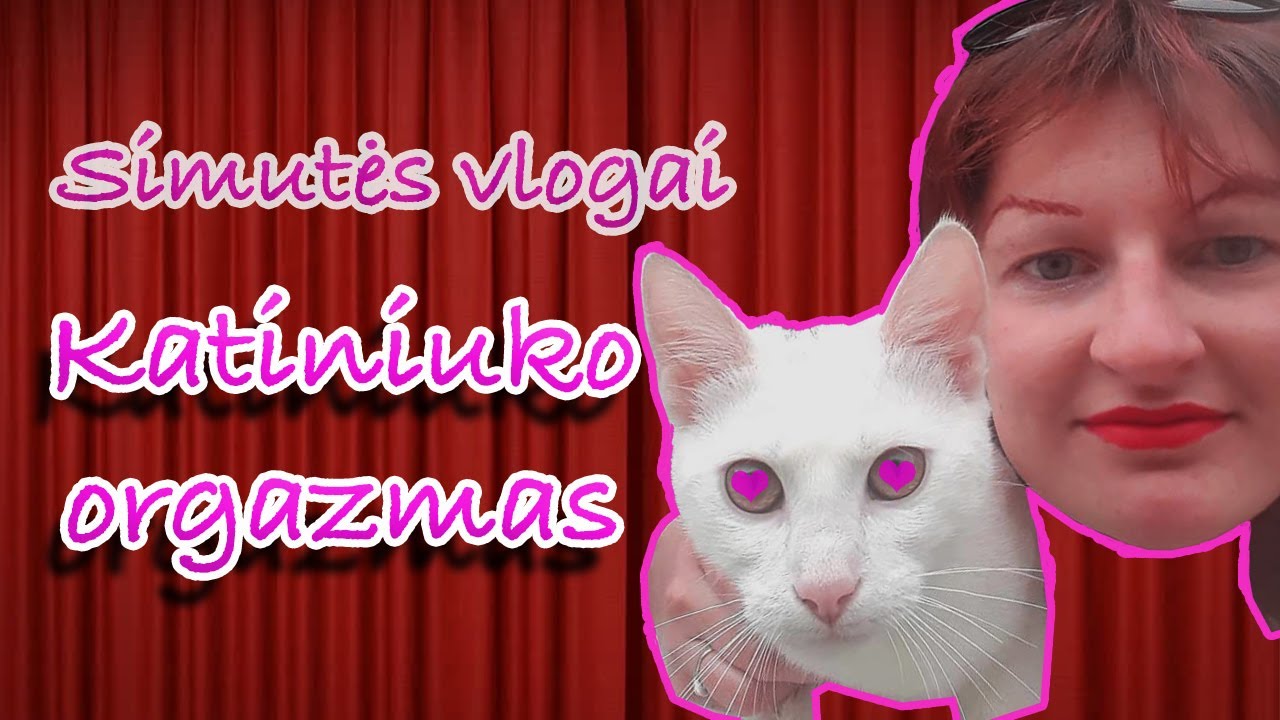 Simutės vlogai: Katiniuko orgazmas (N-18) - YouTube