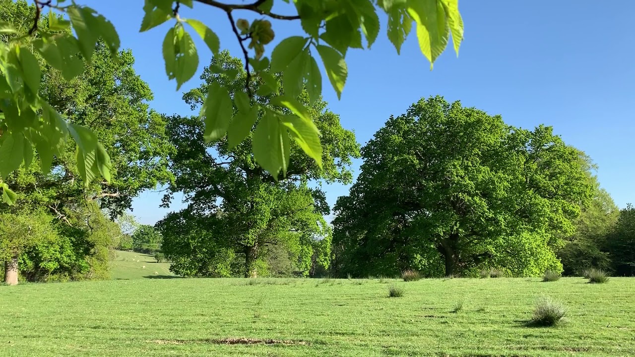 Oh, to be in England now that April’s there - YouTube