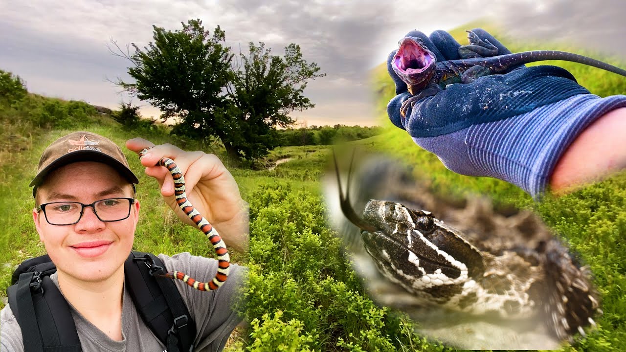 Flipping rocks for SNAKES - Kansas - YouTube