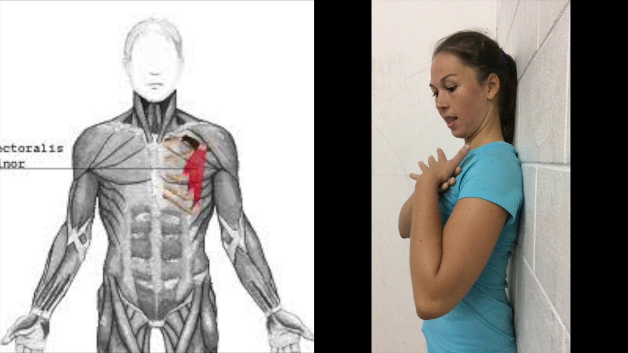 Étirement du petit pectoral - YouTube