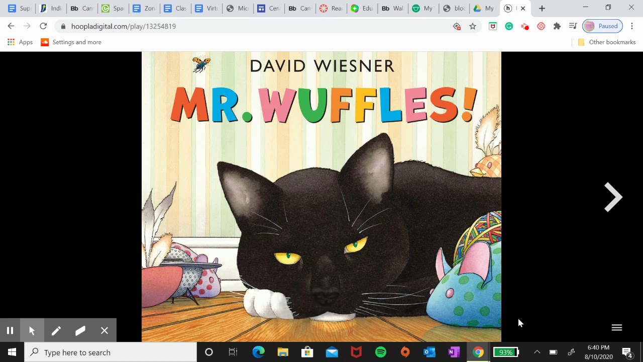 Mr. Wuffles Read Aloud - YouTube