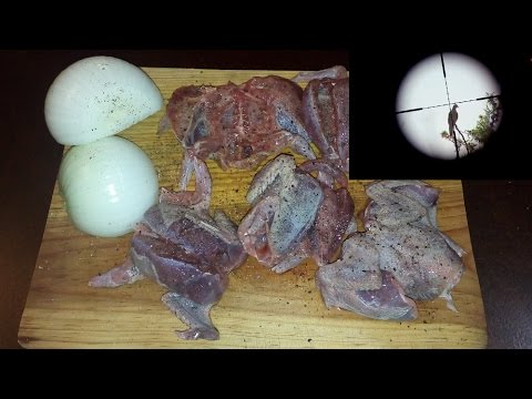 SOPA DE PALOMA COMIDA DE CAZADORES HUNTING DOVE - YouTube