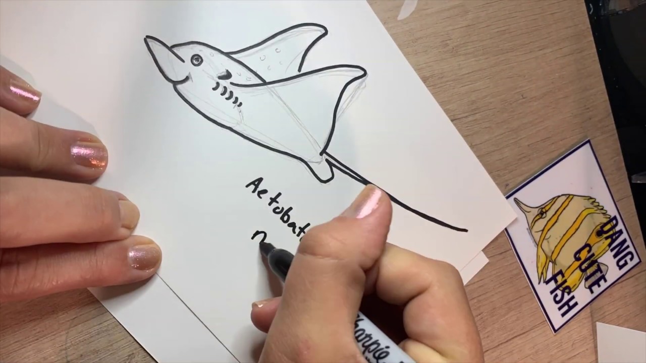 Ray Week, i.e. Flat Shark Week! Time lapse drawing! - YouTube