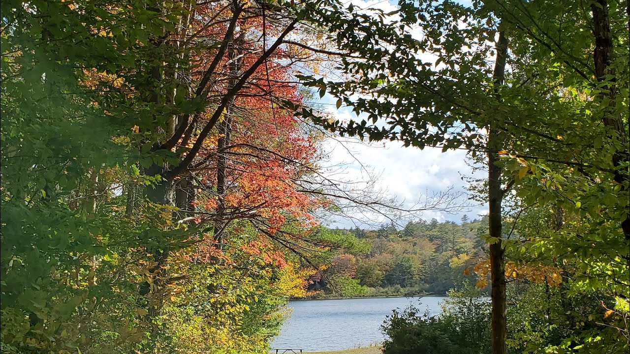 Hiking at Boston Lot Lake - New Hampshire - YouTube