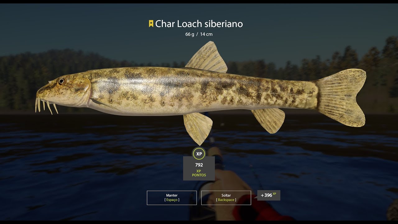 Russian Fishing 4, SIBERIAN CHAR LOACH 66Gr TUNGUSKA RIVER - YouTube