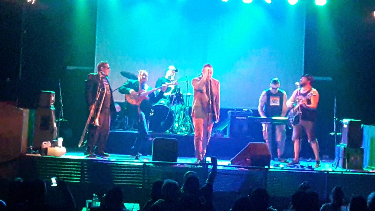 CALIBA en VIVO en los POQUET AWARDS 2016 - YouTube