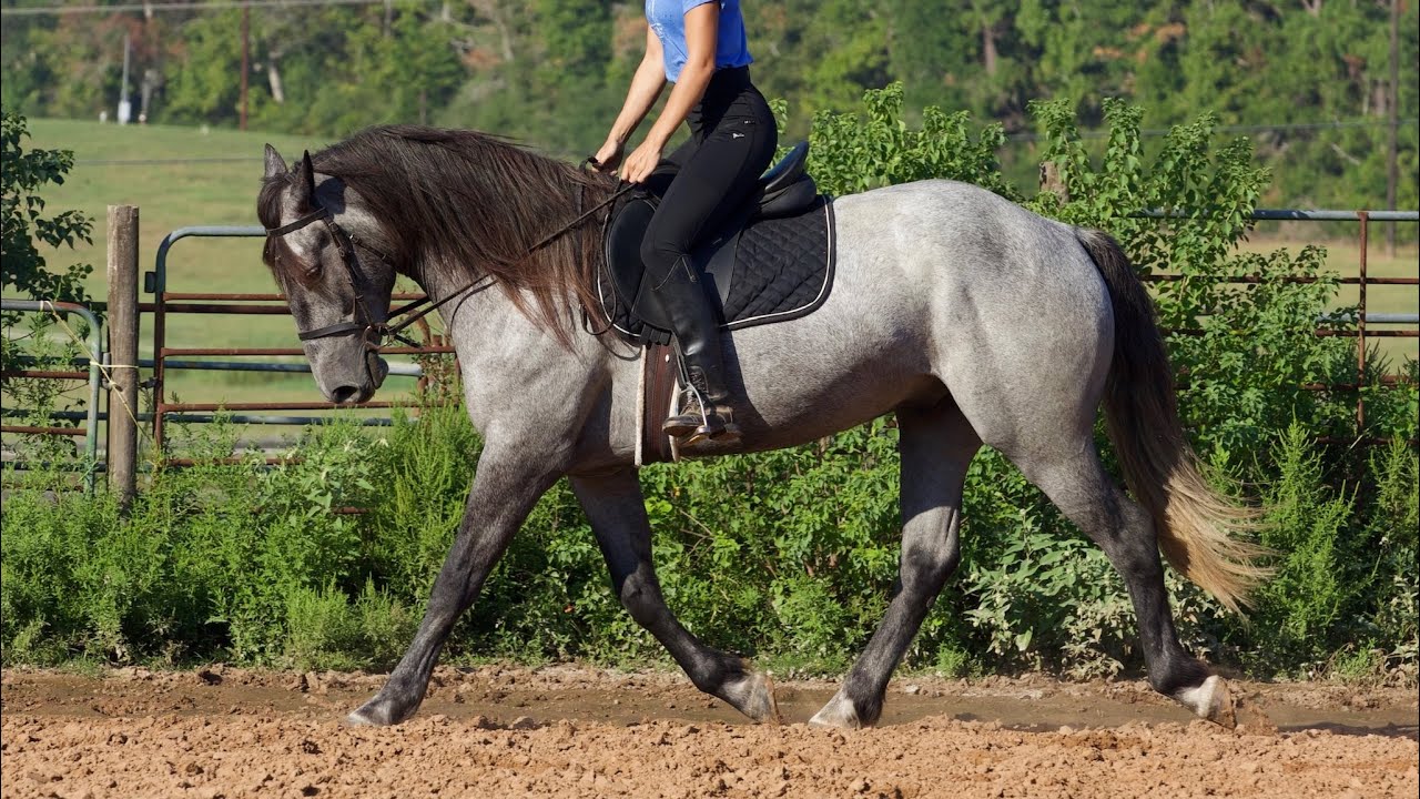 Teeko - English - YouTube