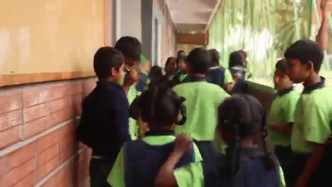 Parikrma Humanity Foundation - YouTube
