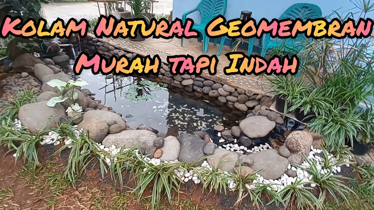 CARA MEMBUAT KOLAM KOI MURAH || KOLAM NATURAL || KOLAM GEOMEMBRAN ...