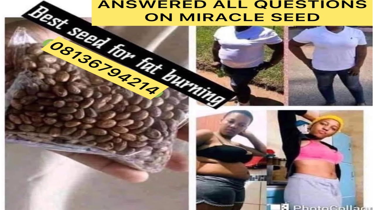 Answered All Your Questions On Miracle Seed - YouTube