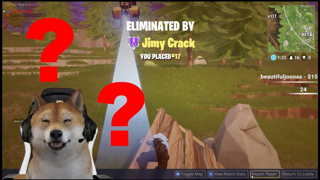 DOG PLAYS FORTNITE?? Fortnite Battle Royale Daily Videos - YouTube