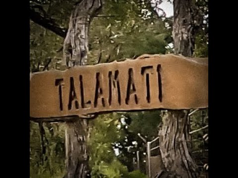 Talamati Bushveld Camp - Kruger National Park - YouTube