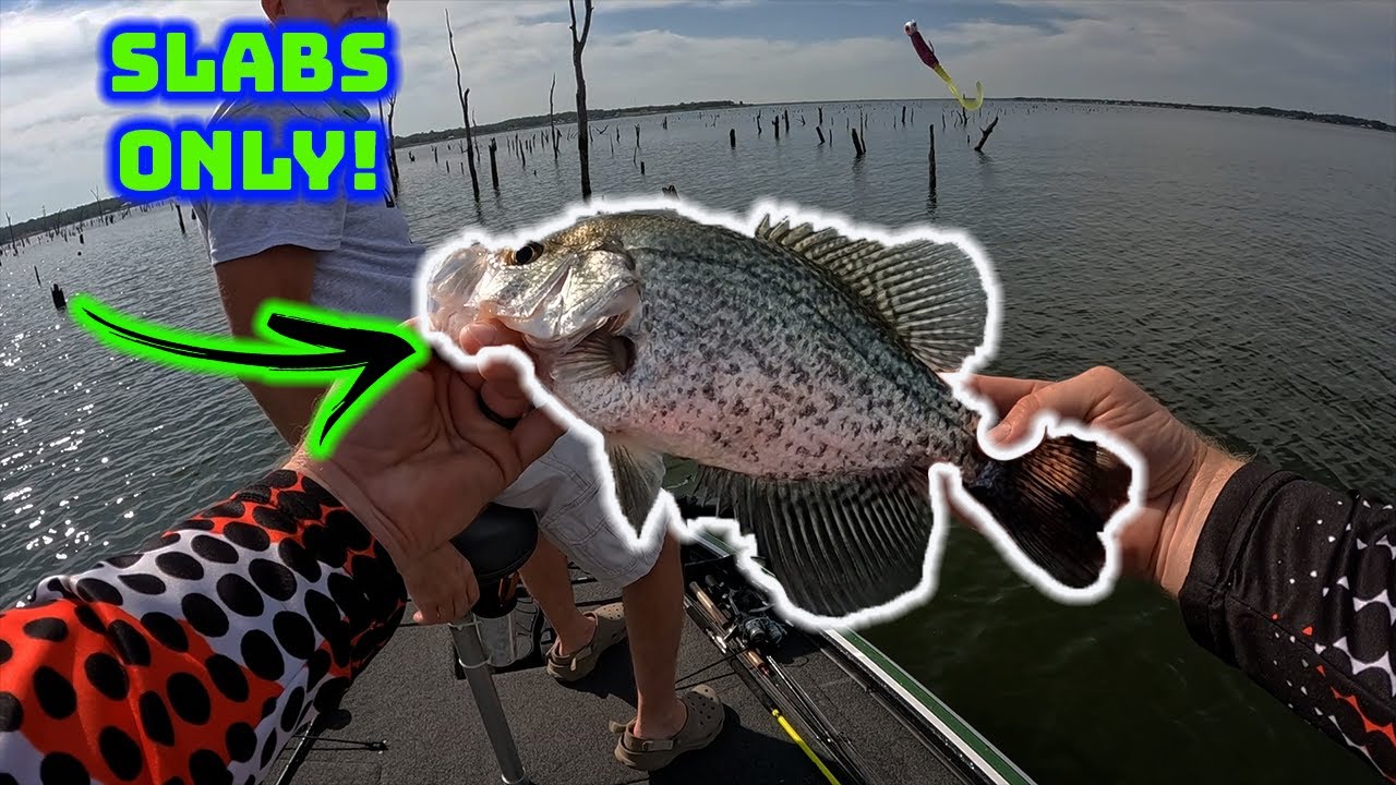 Giant Crappie | BEST slabs of 23 | - YouTube