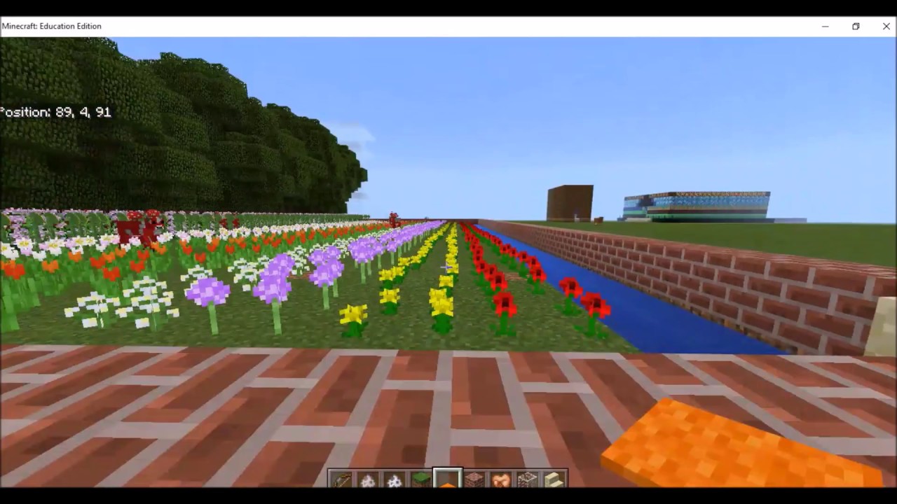 Know your Ecosystem | Minecraft Project - YouTube