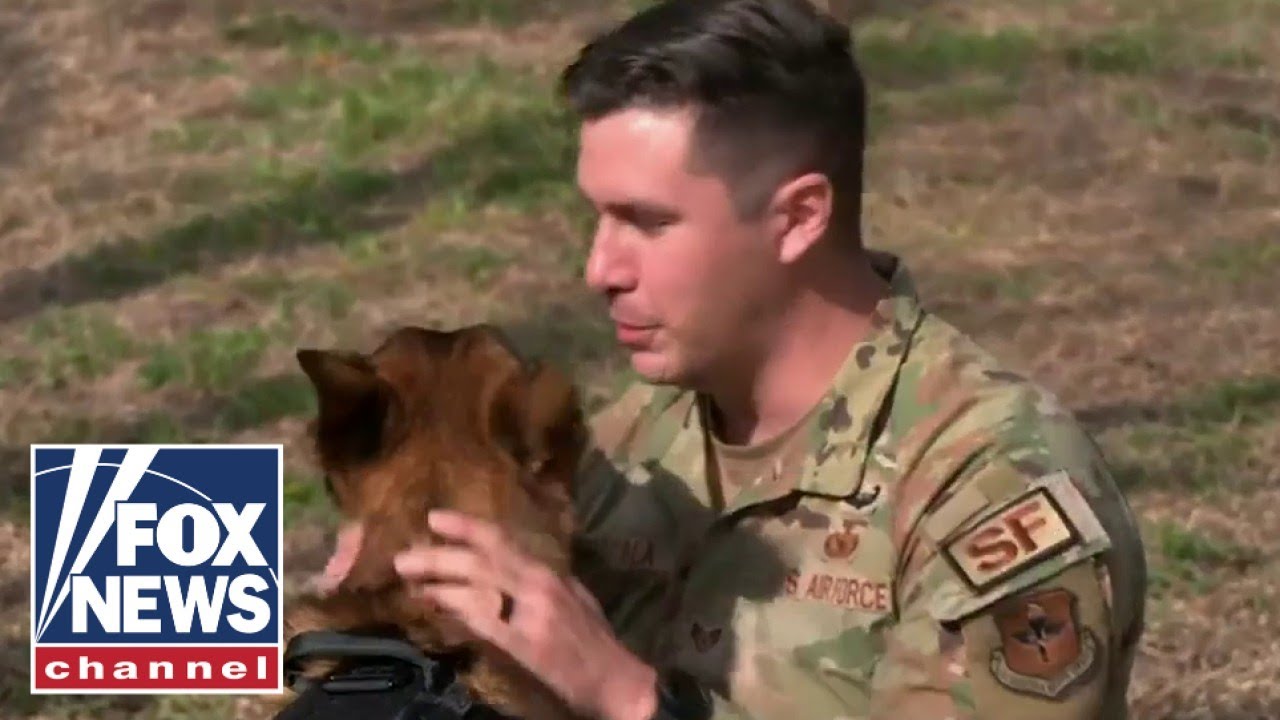 'COULDN'T BE HAPPIER': Service member reunites with military working ...