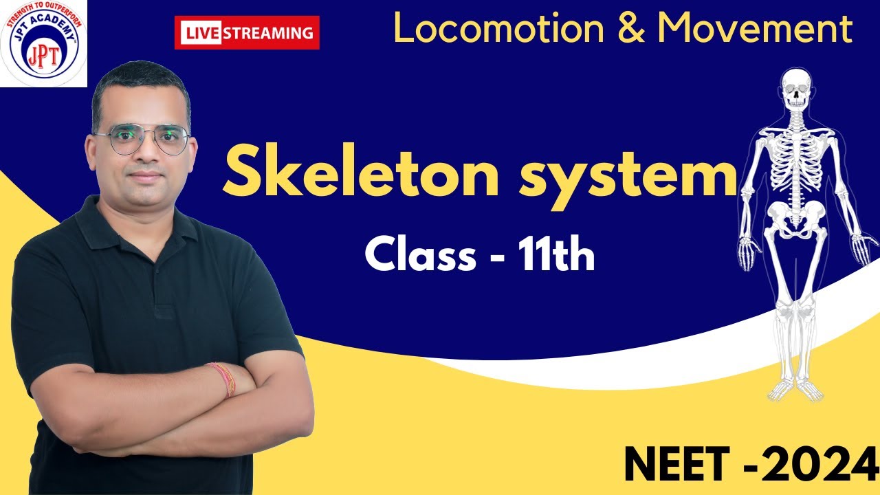 Skeleton system - 04 | Locomotion and Movement | Class 11 | NEET - 2024 ...