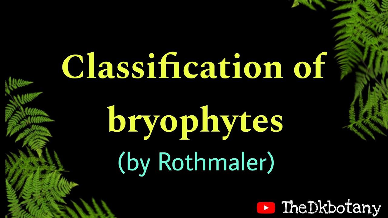 Classification of bryophytes (by Rothmaler) #bryophytes - YouTube