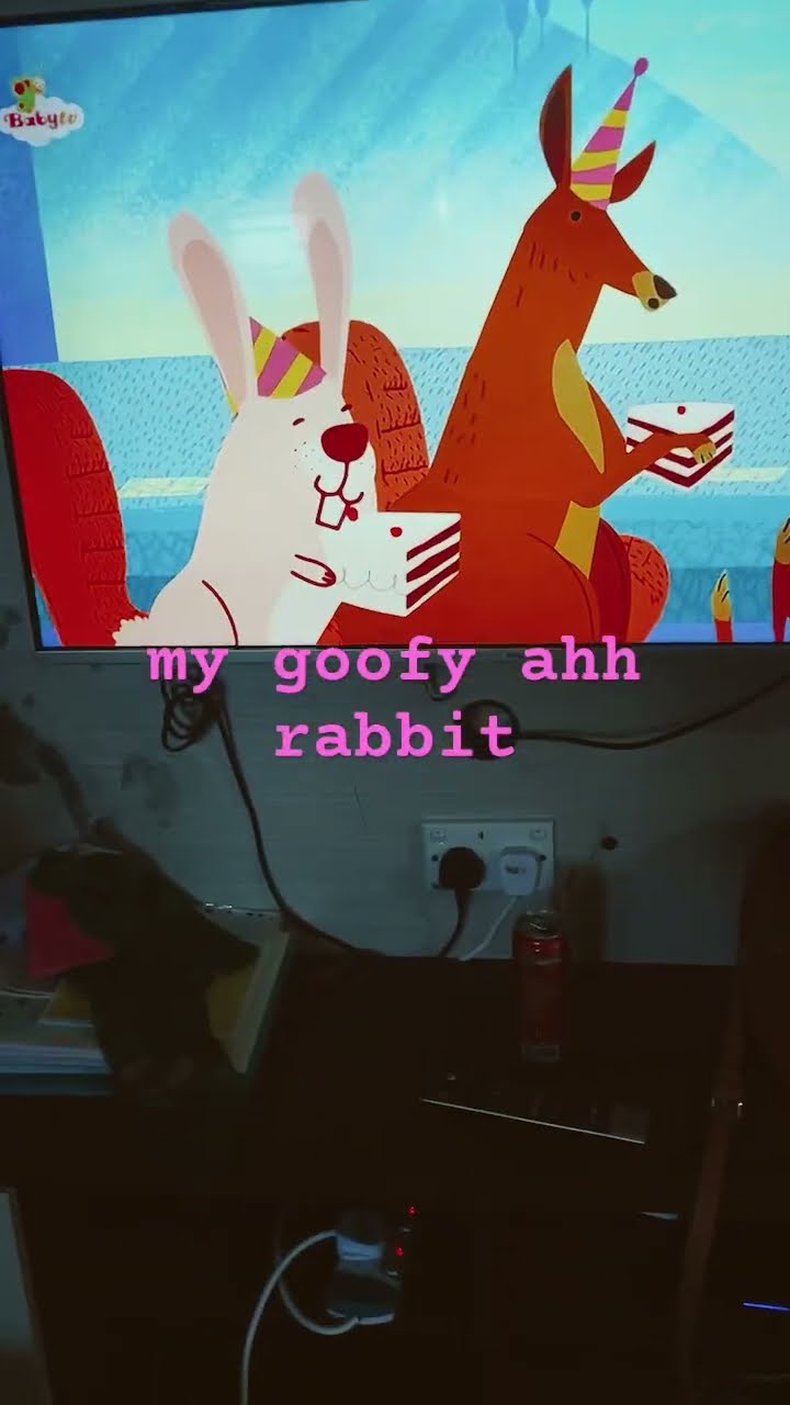 my goofy ahh rabbit #memes - YouTube