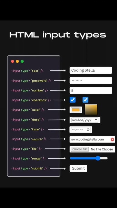 HTML Form Tags - YouTube