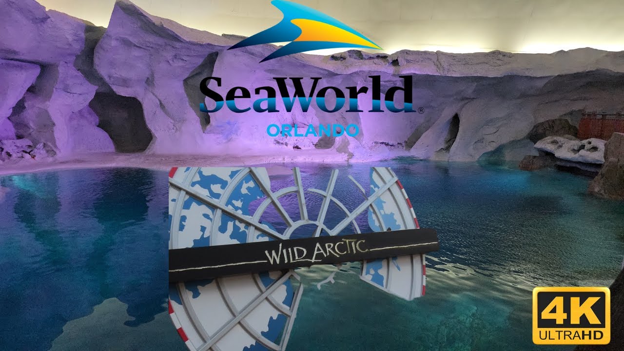 Journey Through Wild Arctic | SeaWorld Orlando 2024 in 4K ️🐻‍ ️🌊 - YouTube