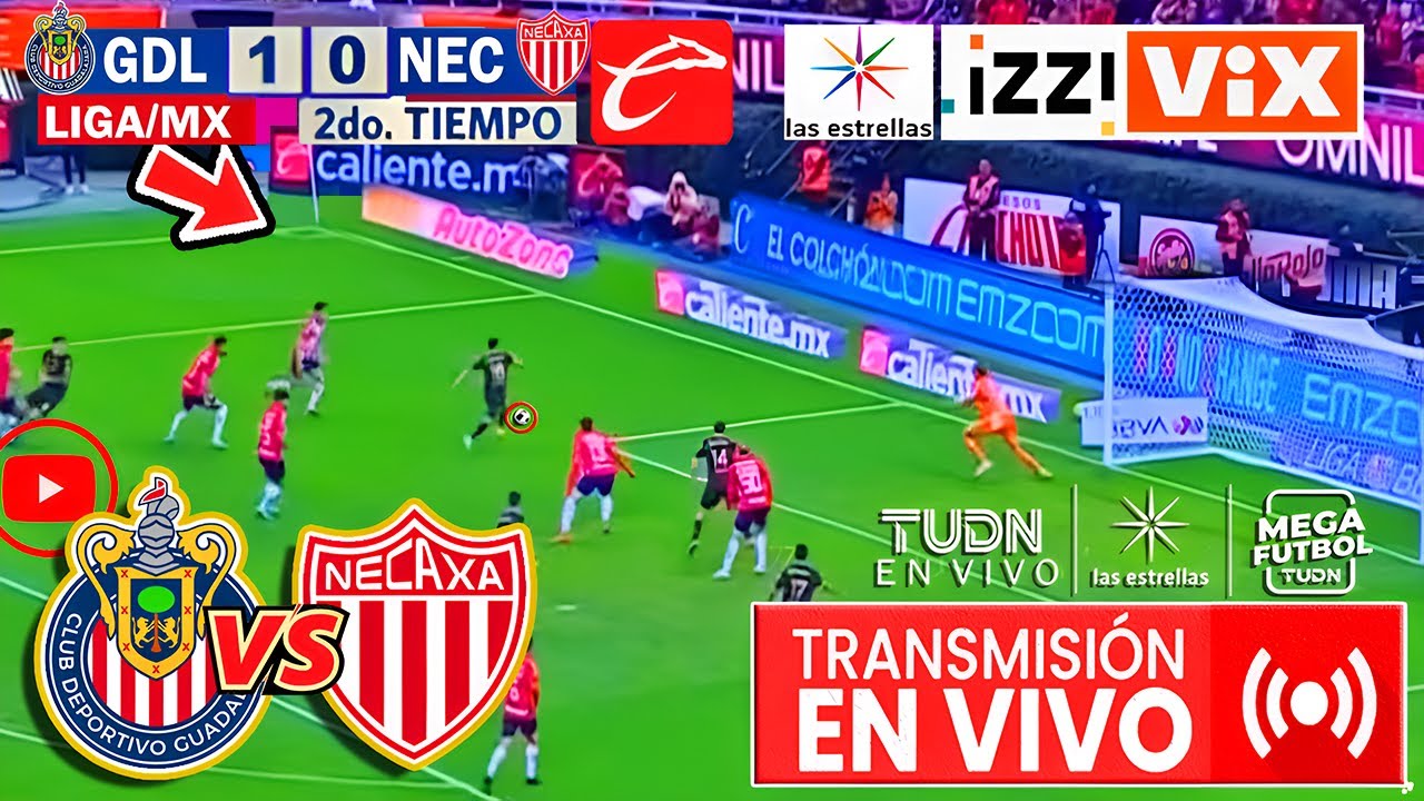 🔴 Chivas Vs Necaxa En Vivo |⚽Jornada 9 2024 | TUDN | Chivas vs Necaxa ...