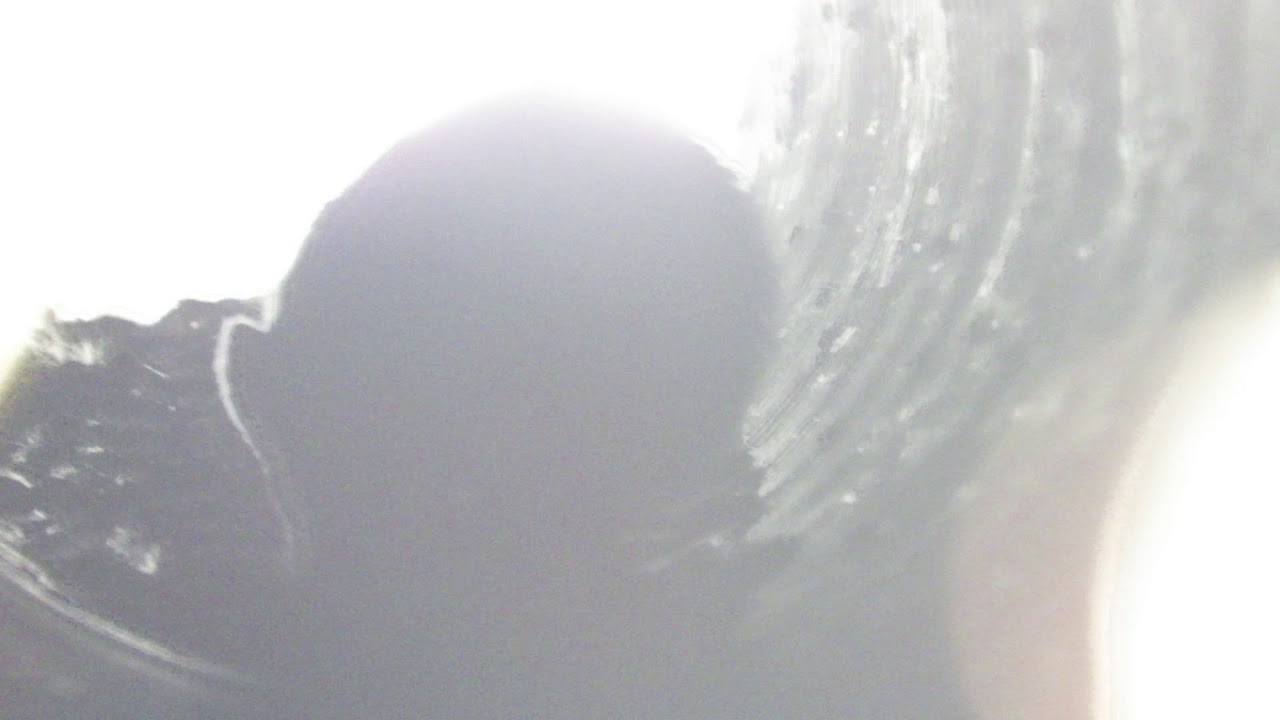 Badger in a culvert near Flagstaff, AZ - YouTube