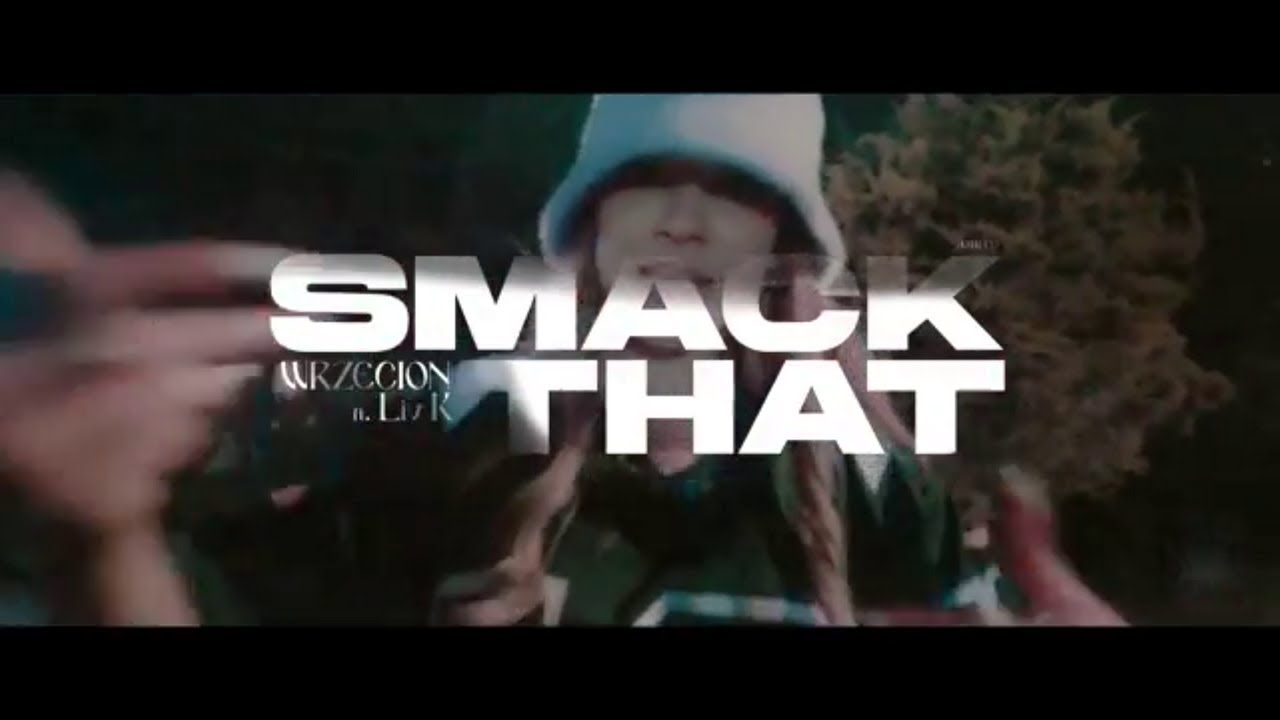 WRZECION ft. liv K - SMACK THAT ( DJ WALDI mash edit ) - YouTube