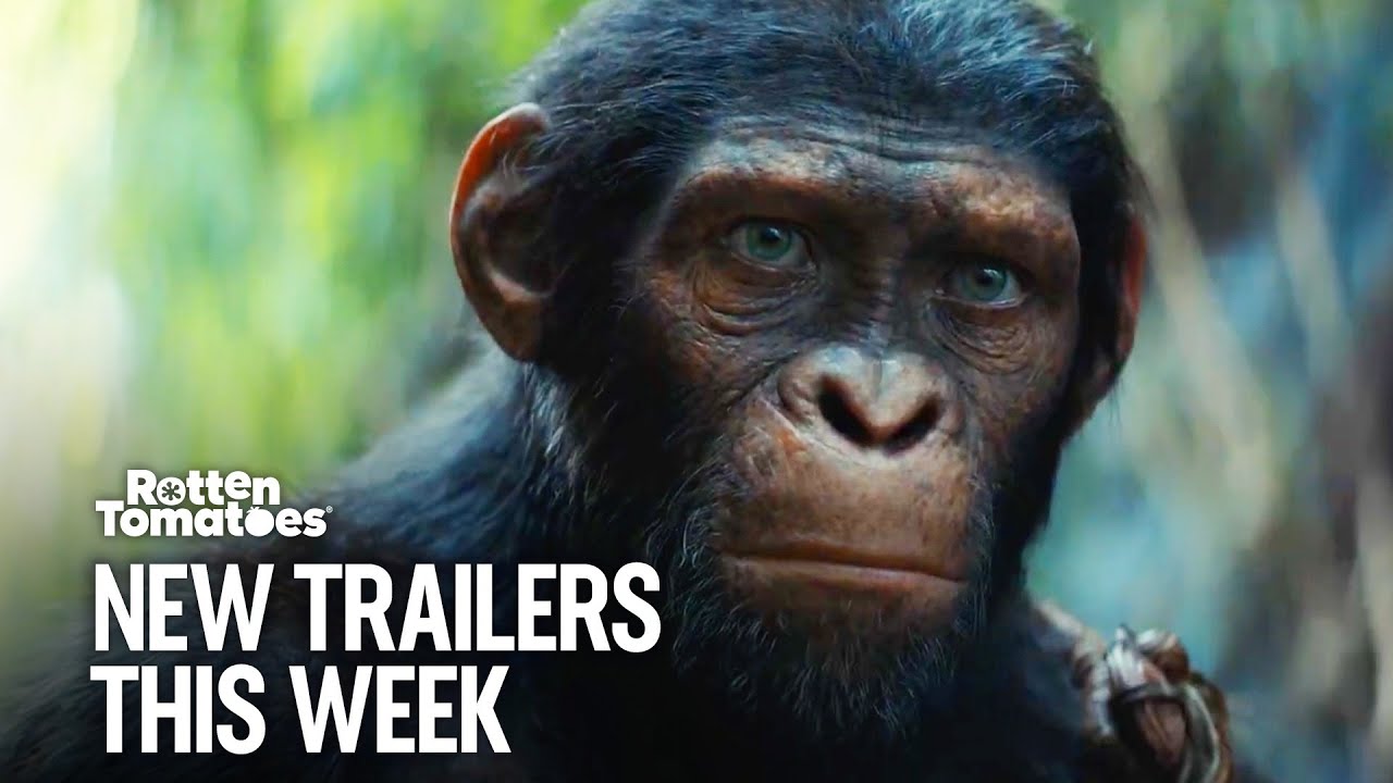 New Trailers This Week | Week 44 (2023) - YouTube