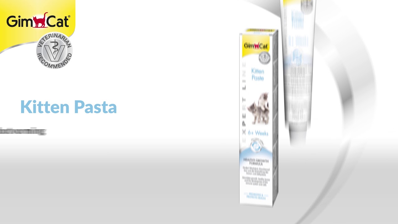 GimCat Kitten Pasta - YouTube