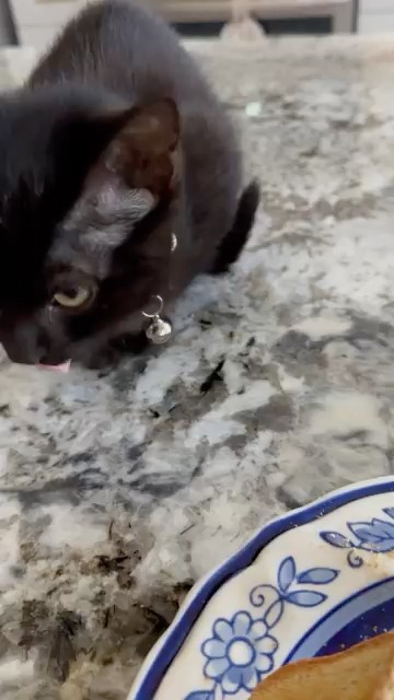 Sadie likes a little bit of toast - YouTube
