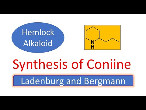 Synthesis of Coniine - YouTube