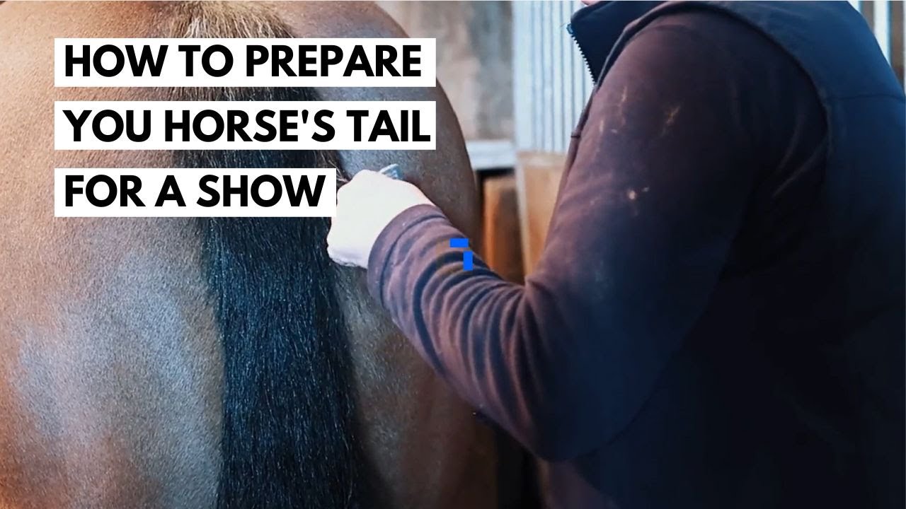 How To Pull Your Horses Tail | Carr & Day & Martin - YouTube