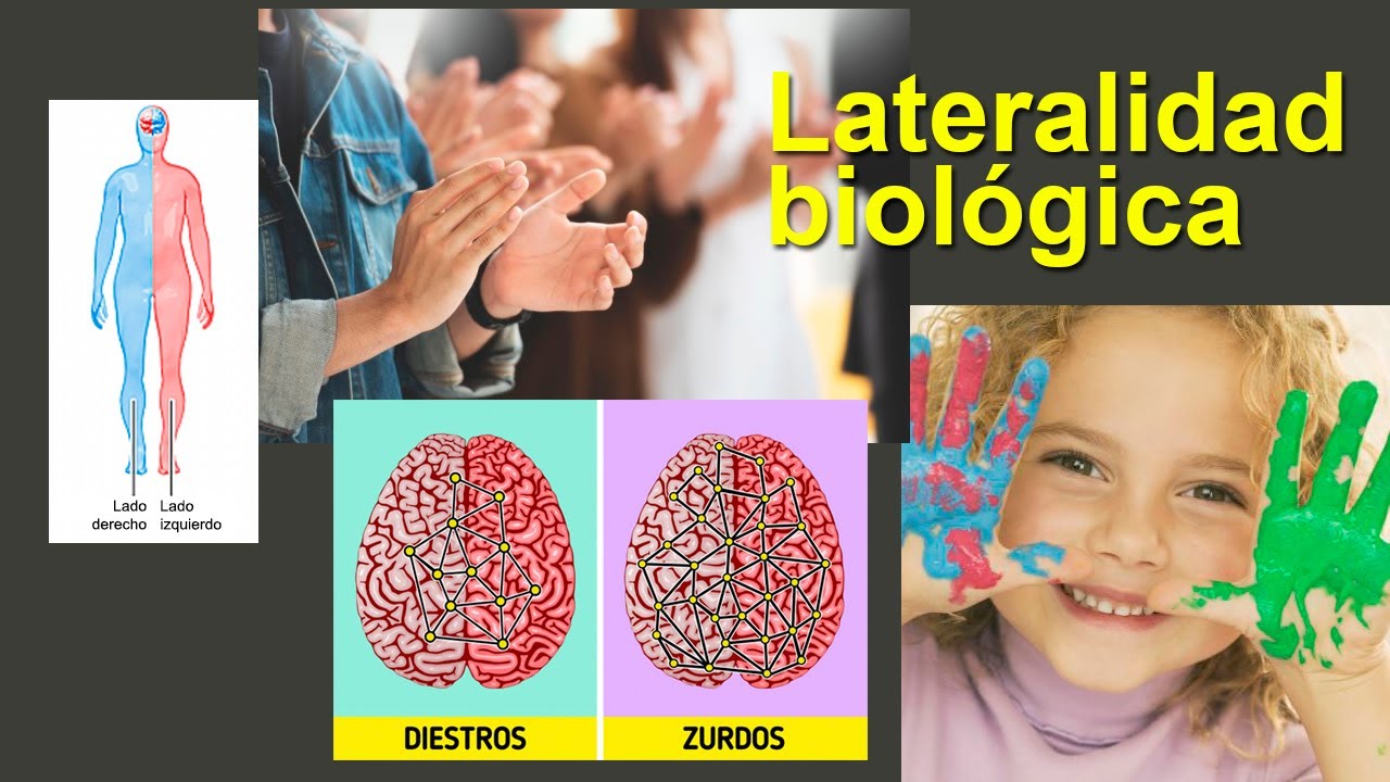 ¿Qué es la lateralidad biológica? - YouTube