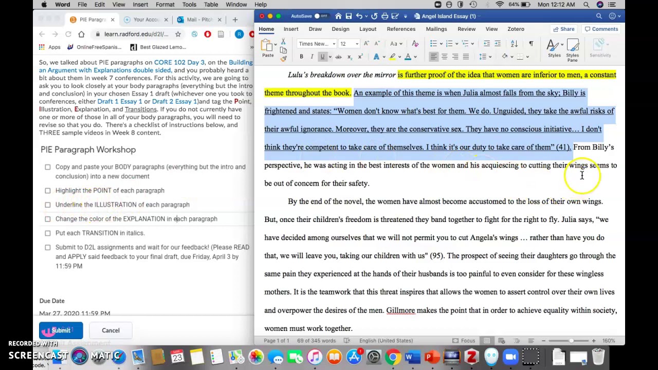 PIE Paragraph Workshop Revision - YouTube