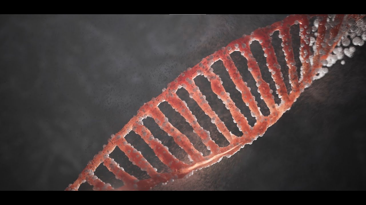 Inside Out 3D Animation Showcase - YouTube