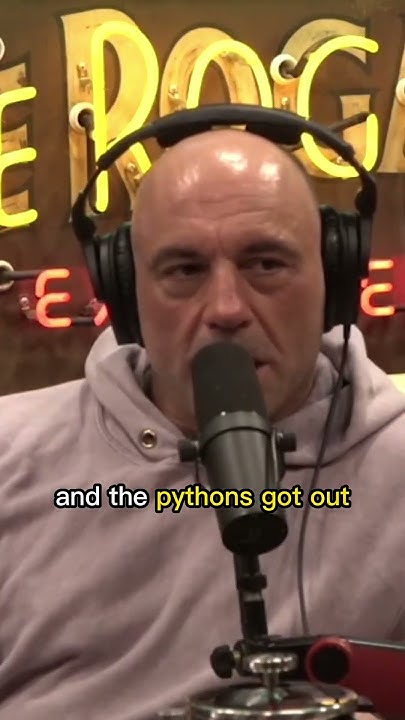 Python Problem in Florida | Joe Rogan & Jim Breuer #jre #shorts # ...